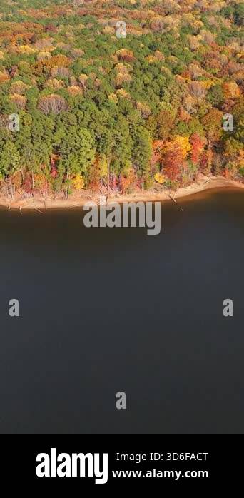 Drone footage showing calm water and forest shoreline covered with ...