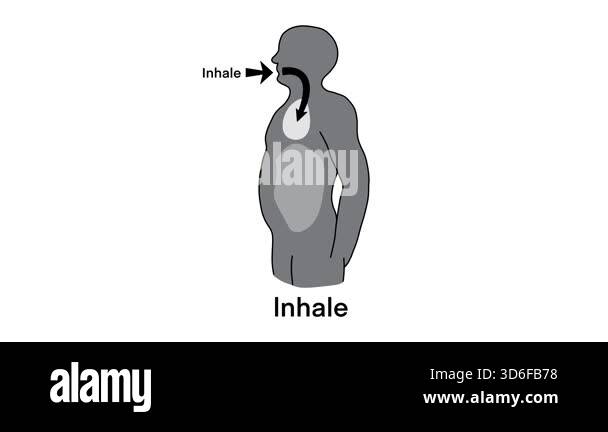 motion of biology, diaphragm breathing technique. The first figure ...