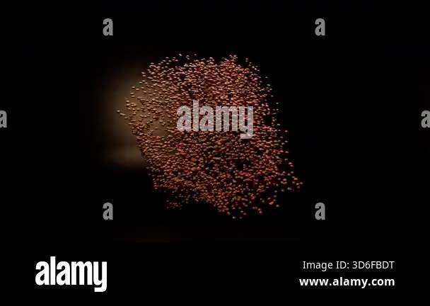 Animation showing roasted coffee beans swirling and forming a dense ...