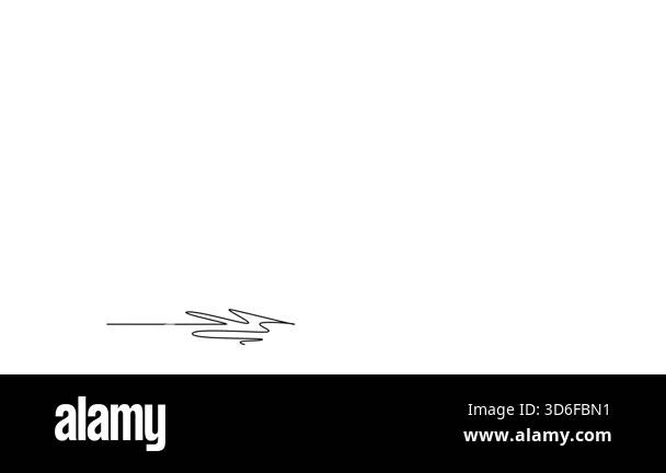 Animated self drawing of continuous line draw two young creative women ...