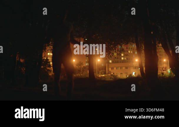 Atmospheric fog nightscape Stock Videos & Footage - HD and 4K Video ...