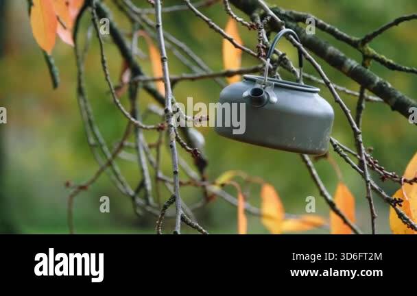 Camping kettle hanging in autumn tree branches medium zoom shot ...