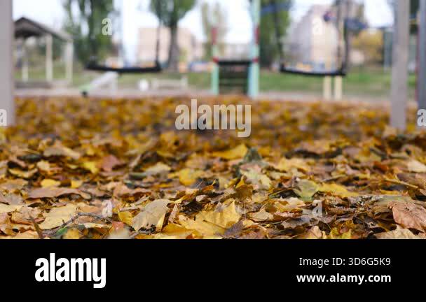 Empty old swing on children playground in the park in autumn season ...