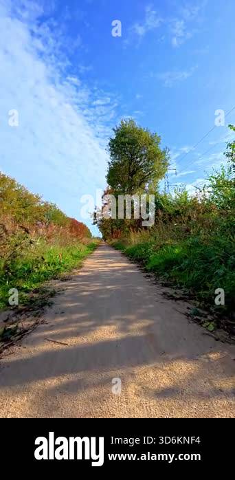 long dirt track through green hedgerow, perspective lines leading to ...