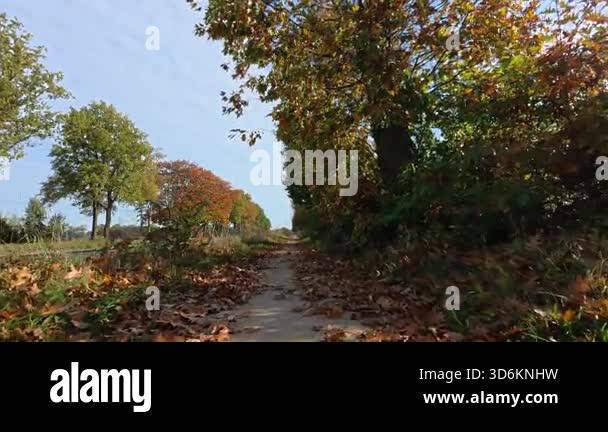 Rustic lane Stock Videos & Footage - HD and 4K Video Clips - Alamy