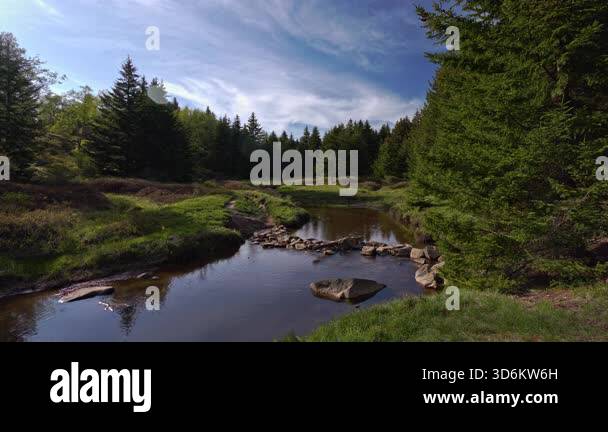 A scenic view of the Left Fork of Red Creek in the Dolly Sods ...