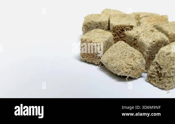Frozen tubifex worms on a white background. These worms are used as ...