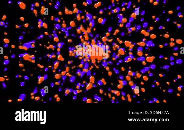 Splash Effect Animation on Transparent Background A dynamic, seamless ...