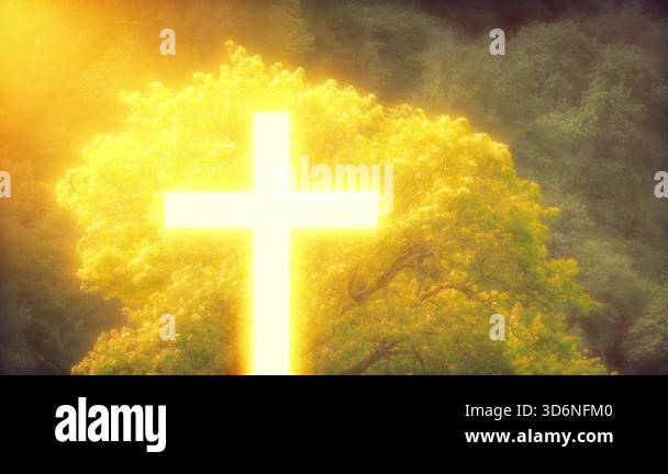 Nature cross Stock Videos & Footage - HD and 4K Video Clips - Alamy