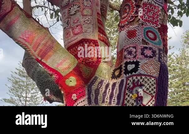 A tree covered in crochet known as yarn bombing, a form of street art where colorful yarn is ...