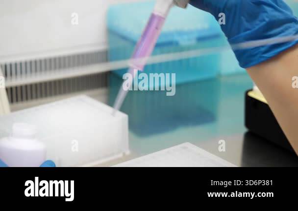 Close up of scientist hands in gloves pipetting reagent solution into ...