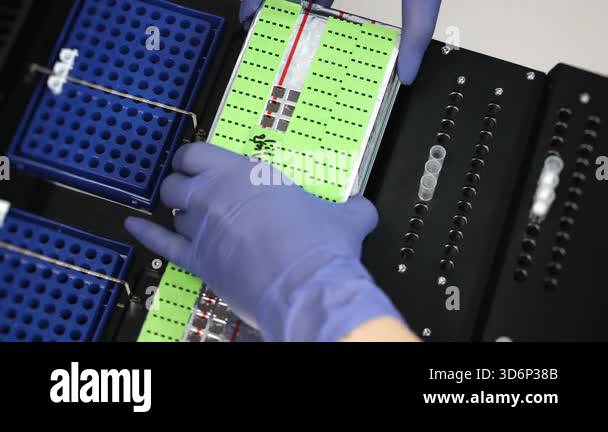 Close up of lab technician loading cassette with samples into automated ...