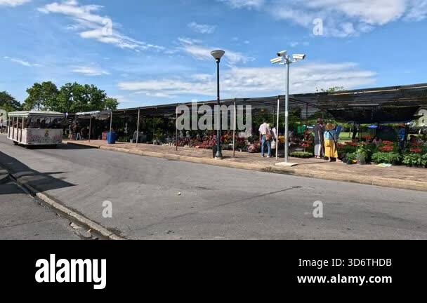 Train carrying passengers through a scenic garden Stock Video Footage ...