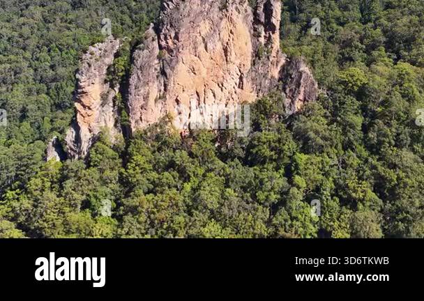 Drone footage captures Nimbin Rocks surrounded by dense forest under ...