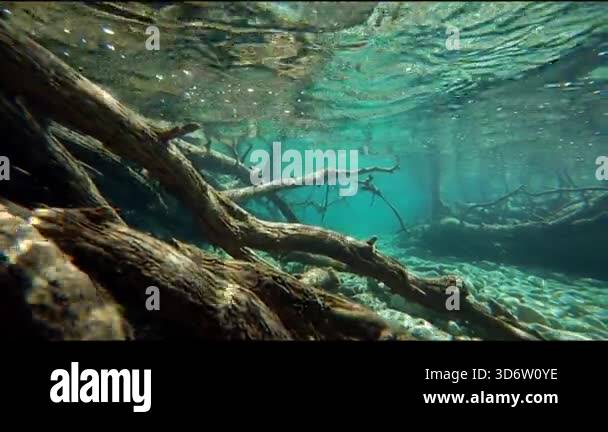 Sunlight streams through crystal-clear water, illuminating a submerged ...