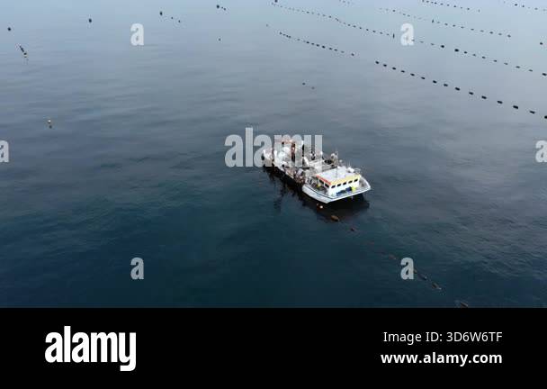 harvest boat navigating buoy lines, crew hauling shellfish, crates and ...