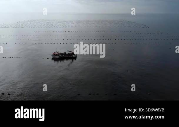 maintenance boat among buoy lines, crew inspecting anchors and nets ...