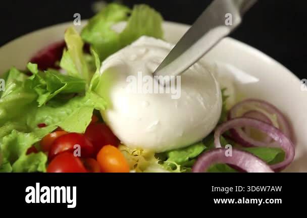 Burrata cheese tomato, purple onion, green leaf lettuce tasty snack ...