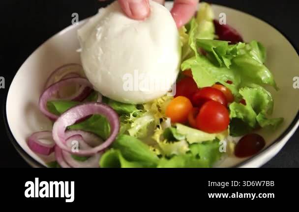 Burrata cheese tomato, purple onion, green leaf lettuce tasty snack ...