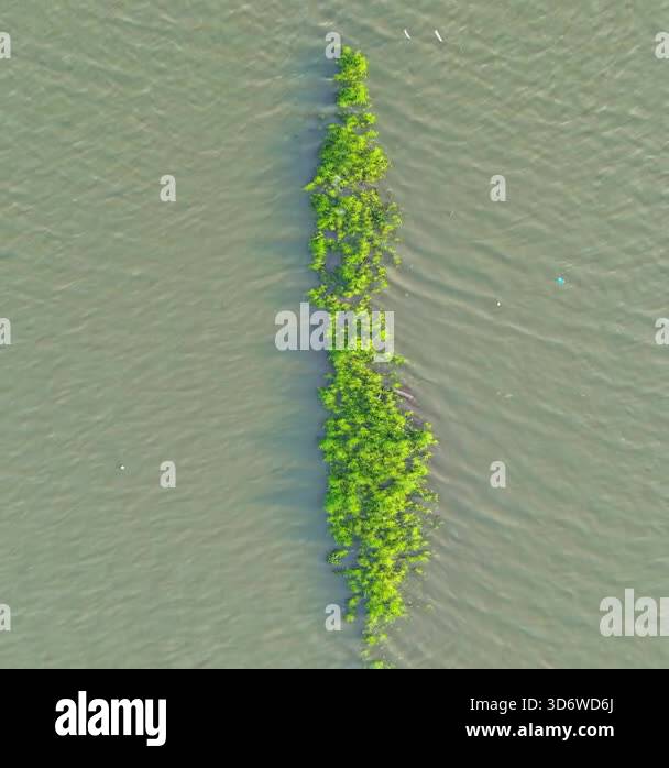 Green Algae in River Aerial View Stock Video Footage - Alamy