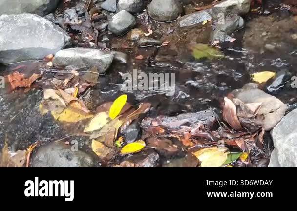 water drop in the river Stock Video Footage - Alamy