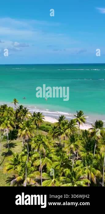Northeastern Brazil Skyline At Sao Miguel Dos Milagres In Alagoas ...