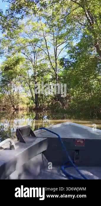 Boat Trip At Parnaiba In Piaui Brazil. Boat Tour. Rainforest Scene ...