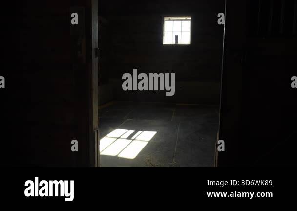 Dark horse stall interior, rustic wooden barn room with light streaming ...