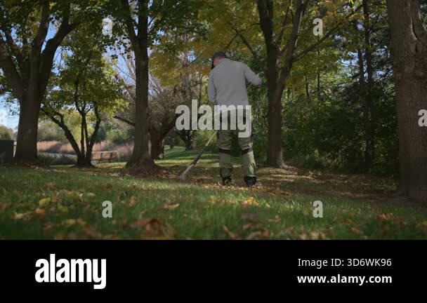 Gardener raking fallen autumn leaves on a green lawn. Seasonal works in the garden. Landscape ...