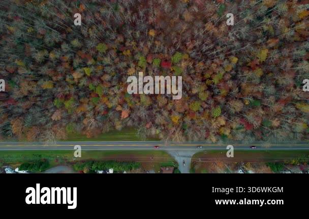 Drone top-down view of mountain road surrounded by vibrant autumn ...