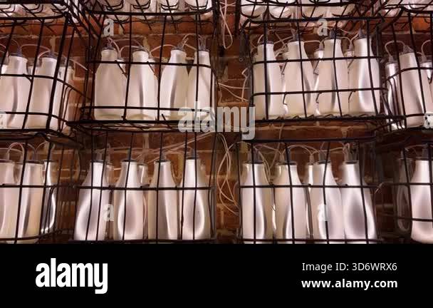 Cafe decor elements. Wall lamps shaped like milk bottles in vintage ...