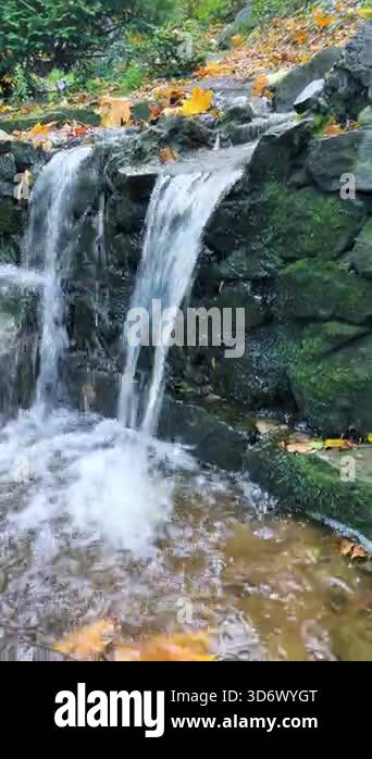 A picturesque decorative stream, small waterfalls and fallen yellow ...
