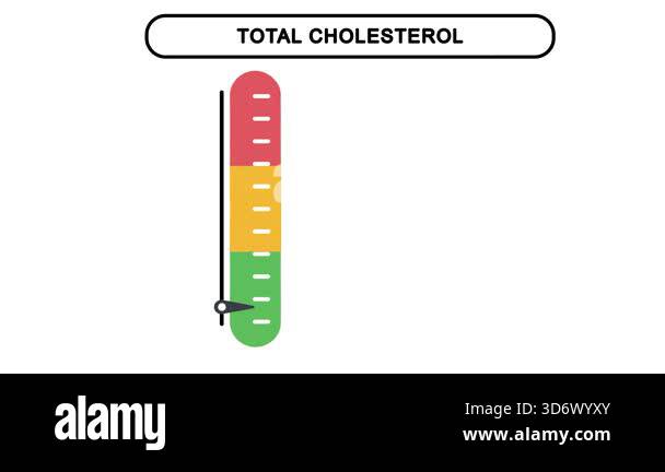 Animated total cholesterol range chart infographic video showing ...