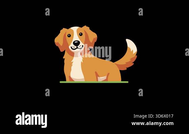 Animated Dog Illustration Cute and Creative Pet Animation Stock Video ...
