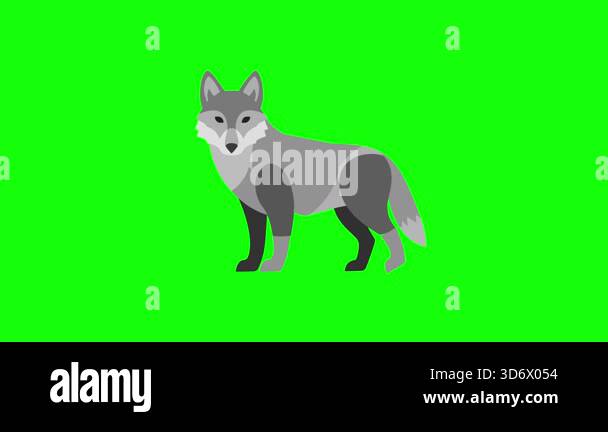 Animated wolf Stock Videos & Footage - HD and 4K Video Clips - Alamy