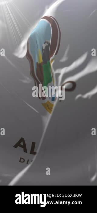 Alfred Nzo District Municipality Flag, South Africa. Loop. 4K Vertical ...