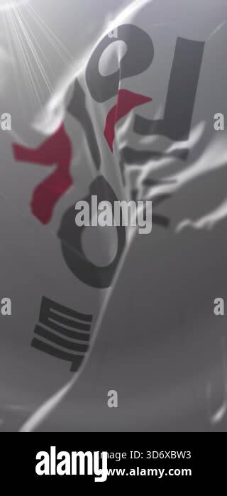 Flag of Gangwon State, South Korea. Loop. 4K Vertical Stock Video ...