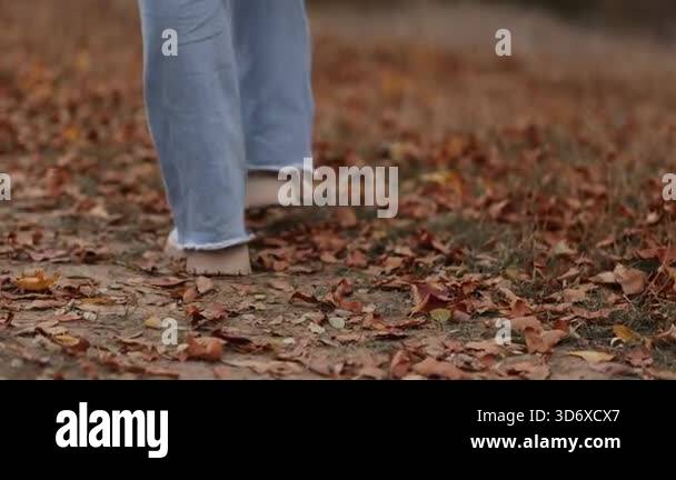Autumn forest nature in park. Woman girl travels. Active trekking ...