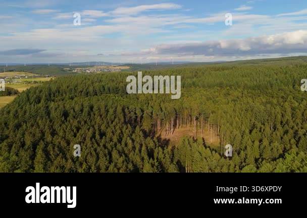 Forest landscape, aerial view, travel through evergreen conifer trees ...