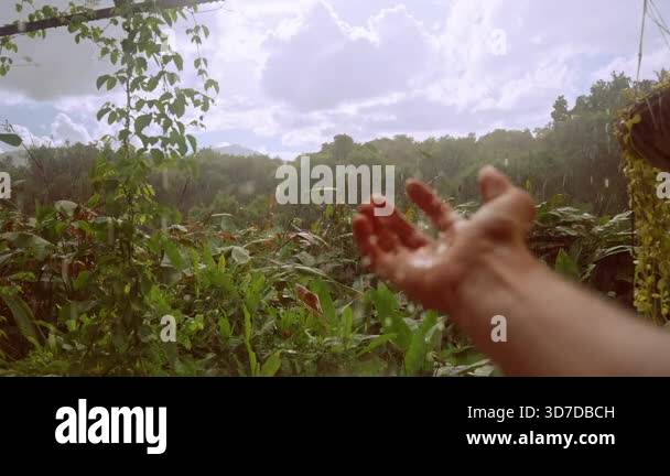 Slow Motion Shot of Hand Reaching Toward Falling Rain Drops in Lush ...