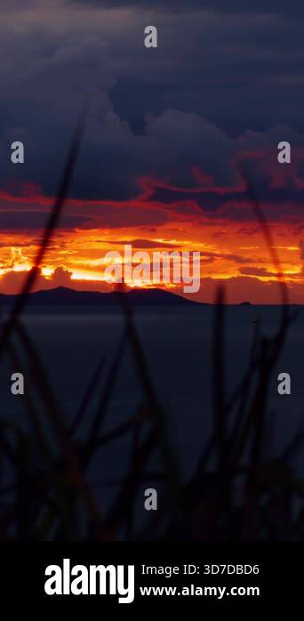 Vertical video. Blades of Grass in Foreground Framing a Dramatic Ocean ...