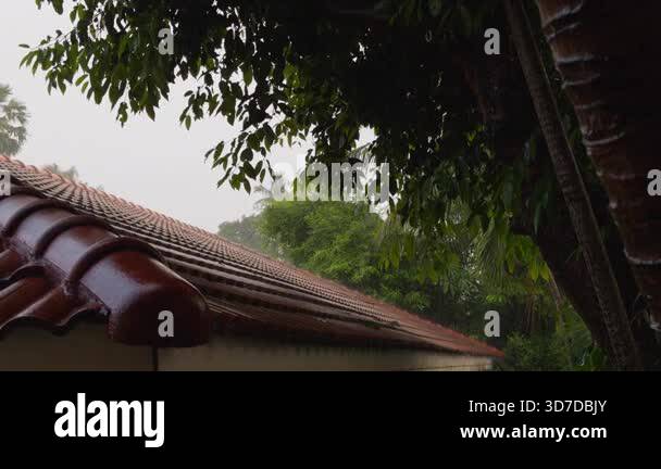 Roof tiles tree branches Stock Videos & Footage - HD and 4K Video Clips ...