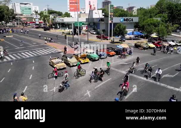 Safari movement Stock Videos & Footage - HD and 4K Video Clips - Alamy