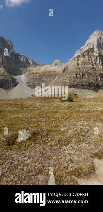 Tundra scrub Stock Videos & Footage - HD and 4K Video Clips - Alamy