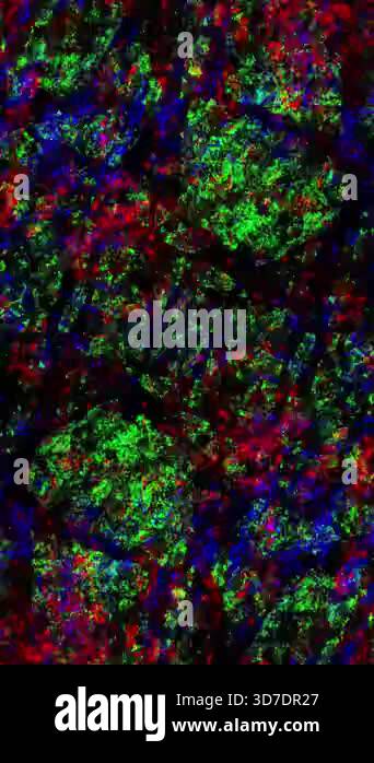 rgb colorful glitch effect animation for debug error concept, bad ...