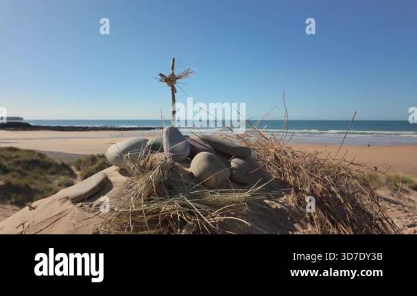 Fan created memorial marking the resting place of Dobby the house elf ...