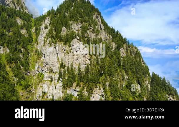 Steep rocky mountain cliff with pine trees. The vertical rock face is ...