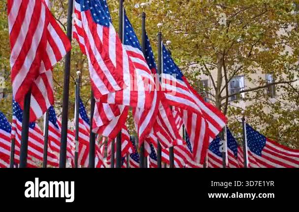 Numerous American flags on the poles flapping in the wind. Low angle ...