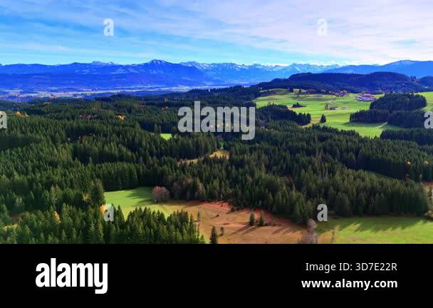 Forested valley with mountains beyond. Dense evergreen forest filling a ...