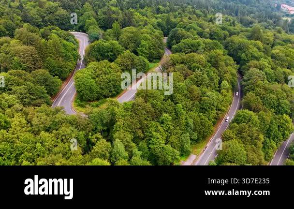 Winding forest roads viewed from above. Curved roads weave through ...